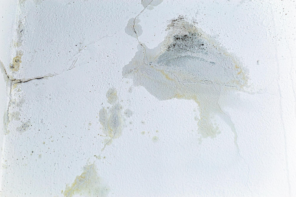 Dampness in walls: Types, Causes and Prevention | Propchk