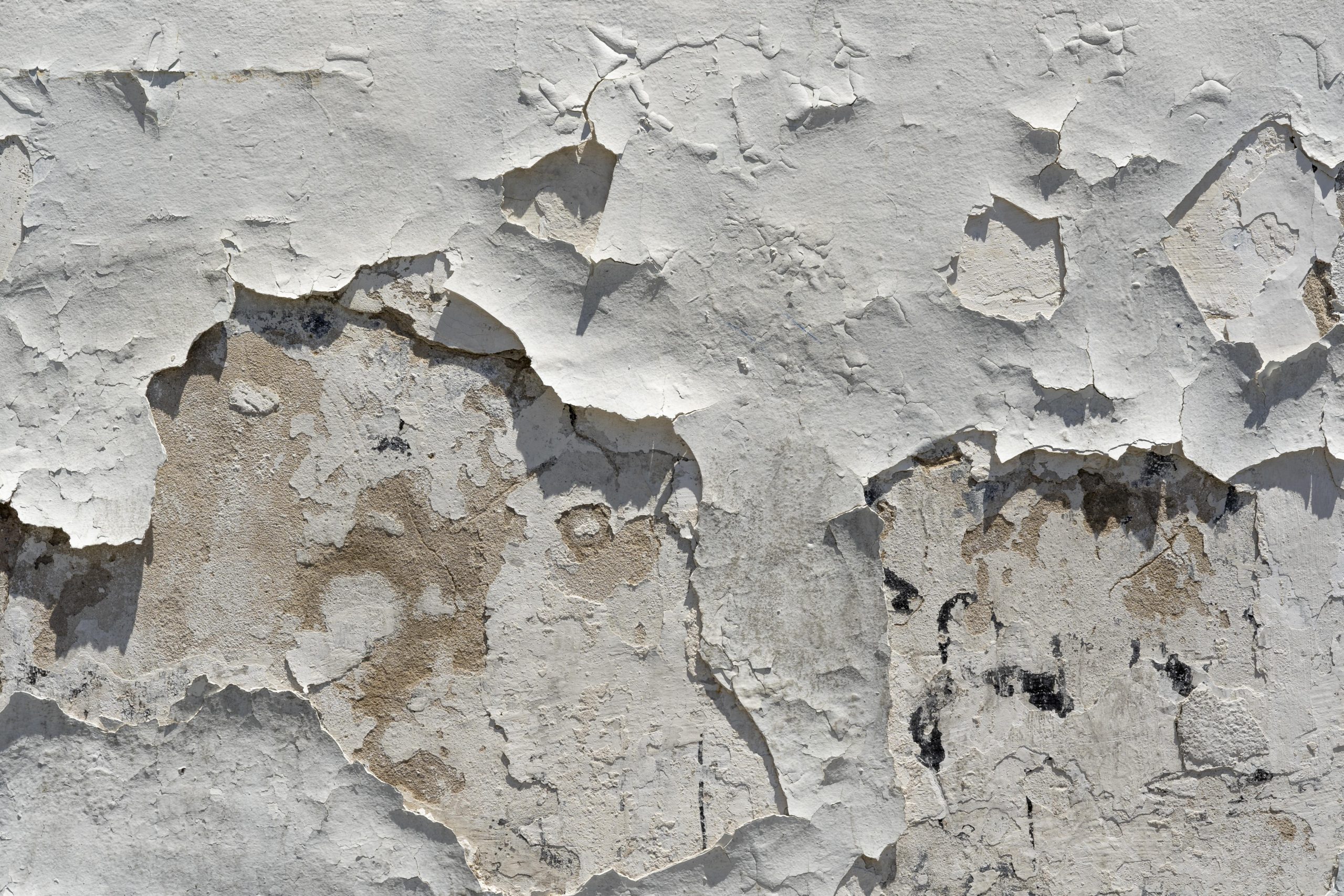 How to treat dampness in internal walls effectively