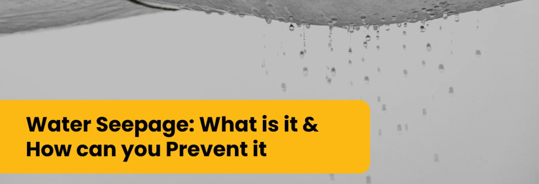 WHAT IS WATER SEEPAGE? HOW TO AVOID SEEPAGE OF WATER - PropChk